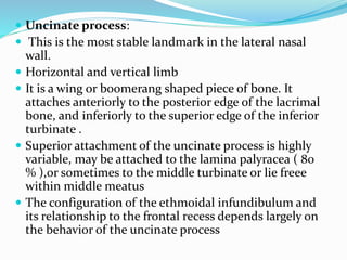 Anatomy of nose | PPTX