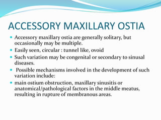 Anatomy of nose | PPTX