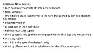Anatomy of nose, Paranasal Sinuses | PPTX