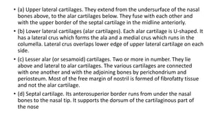 Anatomy of nose, Paranasal Sinuses | PPTX