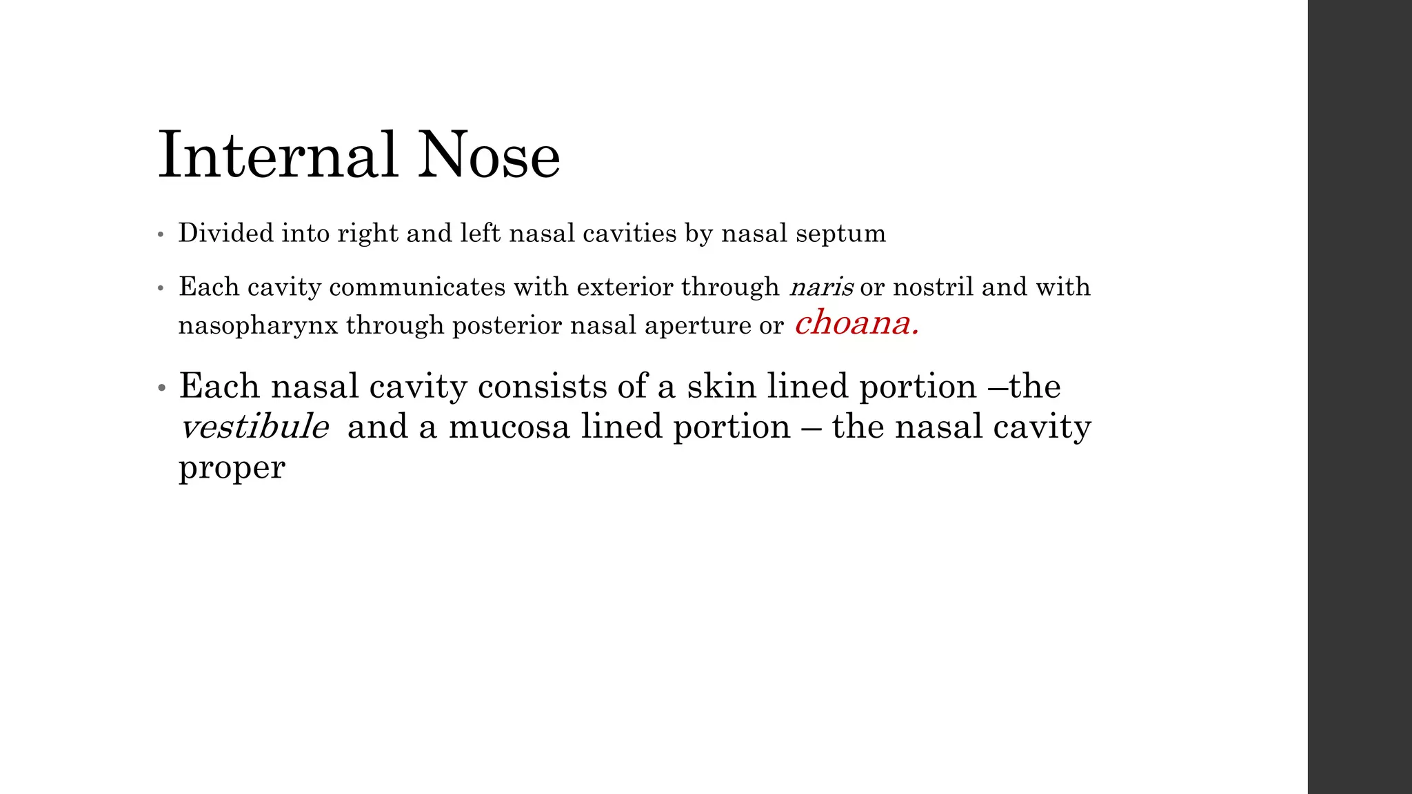 Anatomy of nose | PPTX