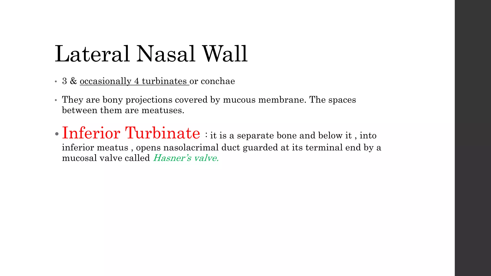 Anatomy of nose | PPTX