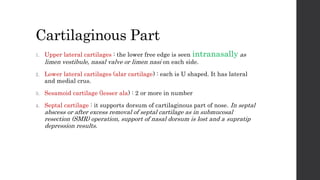 Anatomy of nose | PPTX