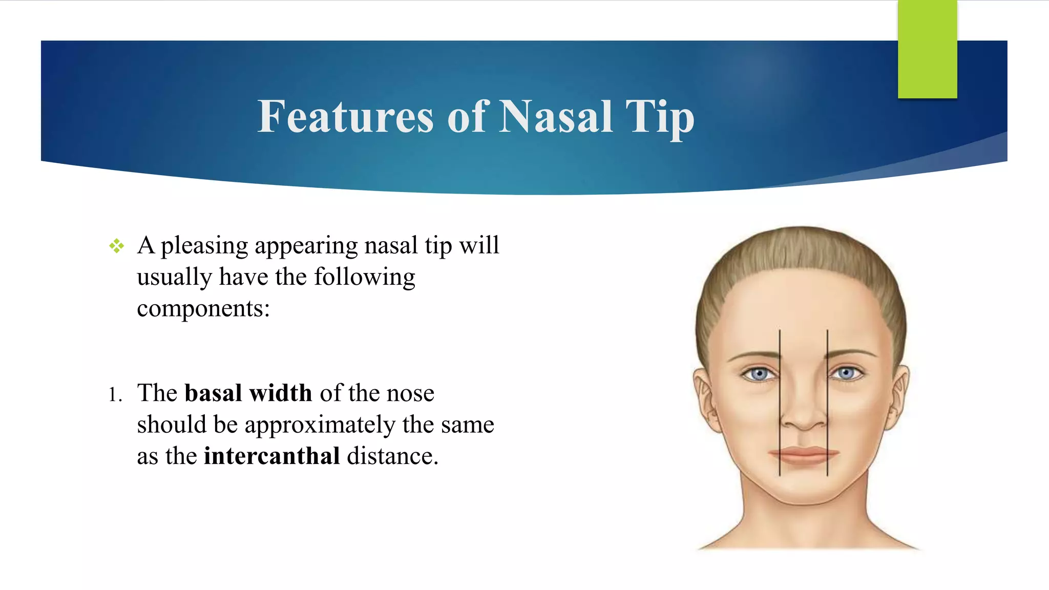 Anatomy of nose (Applied) | PPTX