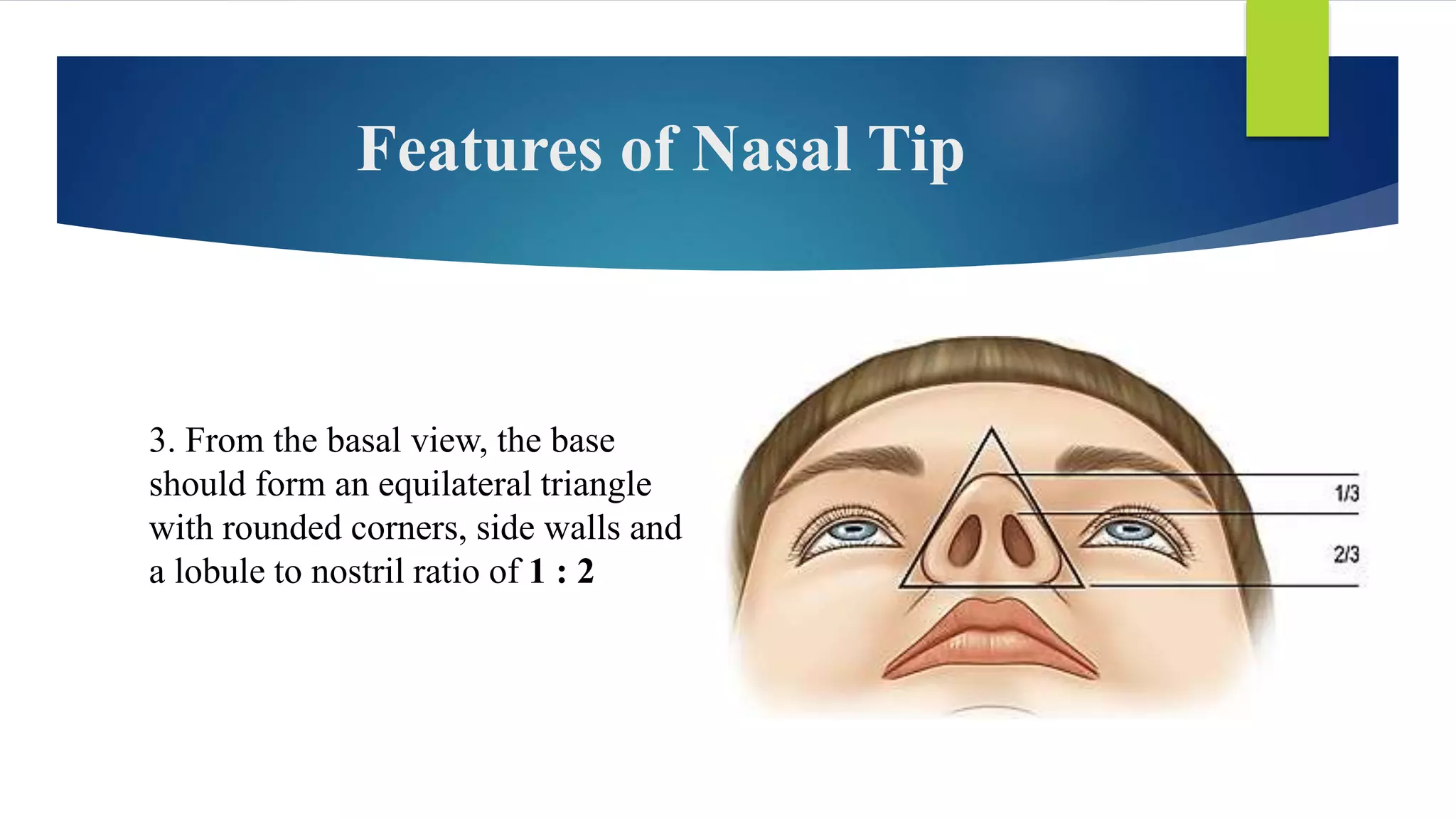 Anatomy of nose (Applied) | PPTX