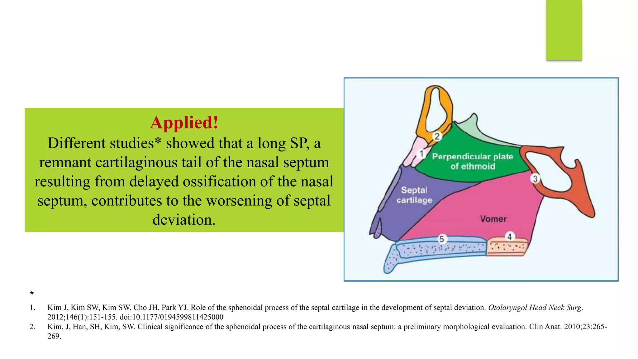 Anatomy of nose (Applied) | PPTX