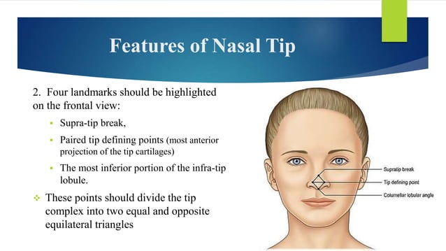 Anatomy of nose (Applied) | PPTX