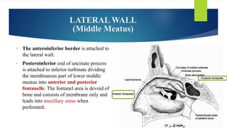 Anatomy of nose (Applied) | PPTX