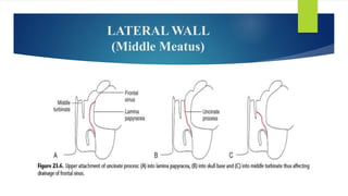 Anatomy of nose (Applied) | PPTX