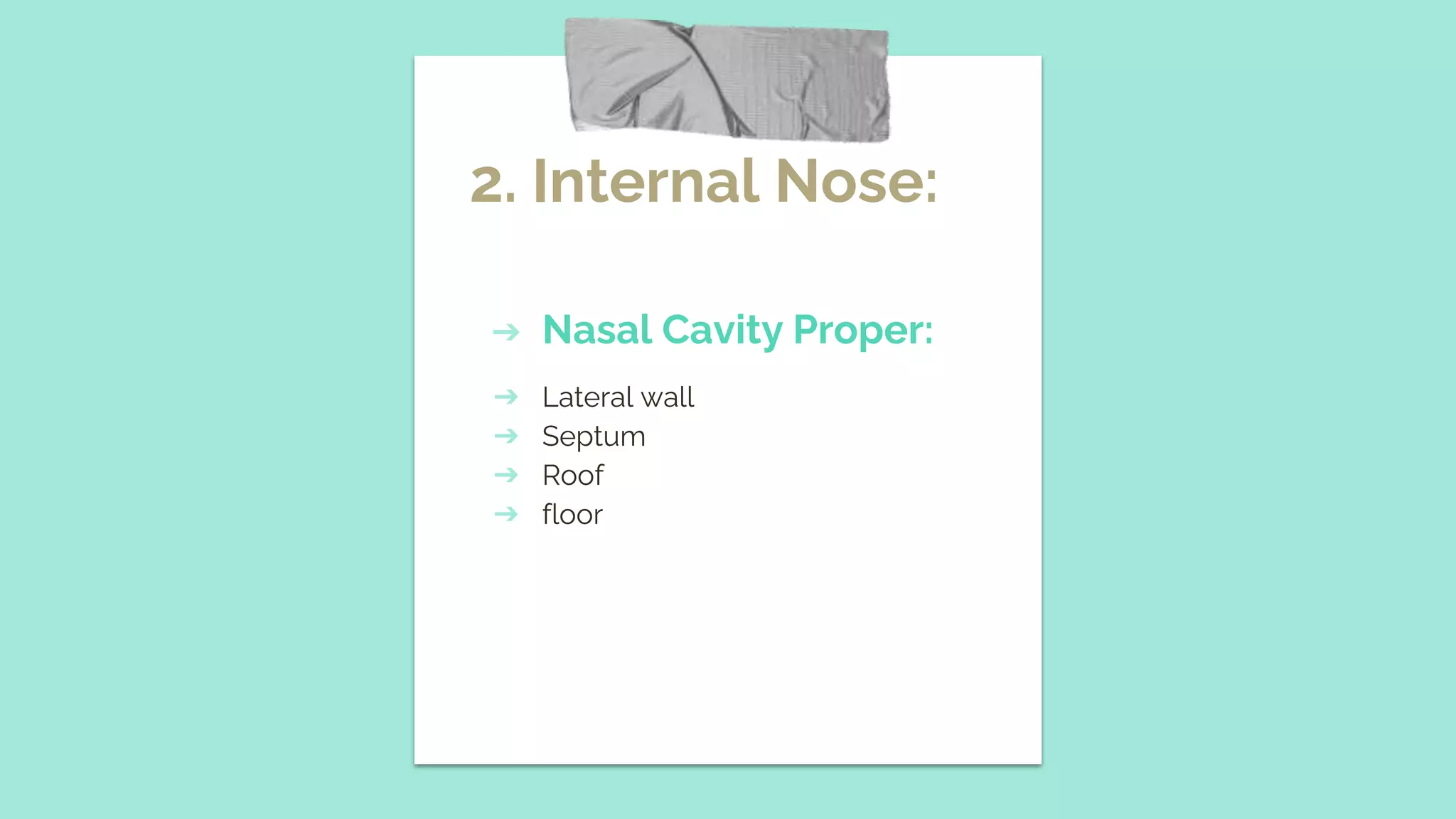Anatomy of nose | PPTX