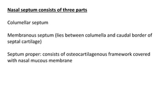 Anatomy of nose.pptx
