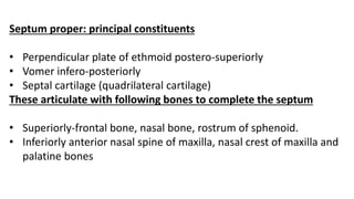 Anatomy of nose.pptx