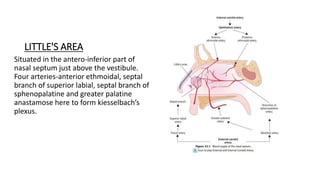 Anatomy of nose.pptx