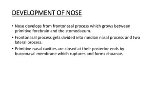 Anatomy of nose.pptx
