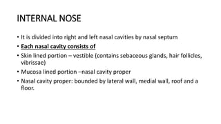 Anatomy of nose.pptx