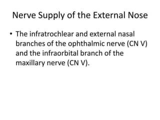 anatomy of nose and paranasal sinuses atlas | PPTX