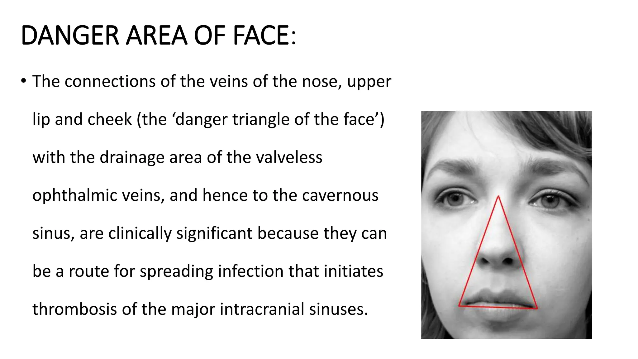 PRESENTATION ON ANATOMY OF NOSE FOR UNDERGRADUATES | PPTX