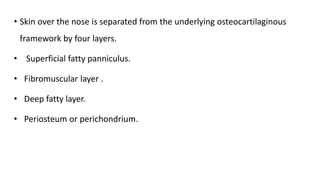 PRESENTATION ON ANATOMY OF NOSE FOR UNDERGRADUATES | PPTX