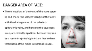 PRESENTATION ON ANATOMY OF NOSE FOR UNDERGRADUATES | PPTX