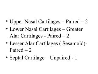anatomy of Nose deep knowledge of nose anatomy | PPTX