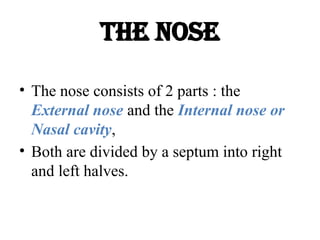 anatomy of Nose deep knowledge of nose anatomy | PPTX
