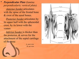 ANATOMY of NOSE for post graduate students.pptx