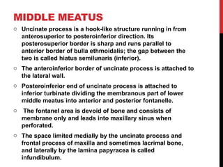 Anatomy of Nose.pptx anatomy and ophthalmology | PPTX