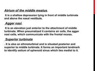 Anatomy of Nose.pptx anatomy and ophthalmology | PPTX
