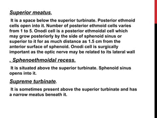 Anatomy of Nose.pptx anatomy and ophthalmology | PPTX