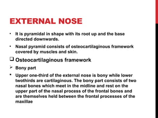 Anatomy of Nose.pptx anatomy and ophthalmology | PPTX