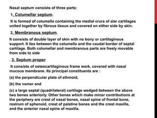 Anatomy of Nose.pptx anatomy and ophthalmology | PPTX