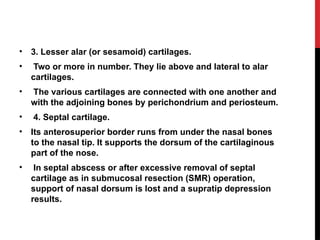 Anatomy of Nose.pptx anatomy and ophthalmology | PPTX