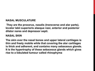 Anatomy of Nose.pptx anatomy and ophthalmology | PPTX