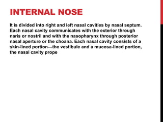 Anatomy of Nose.pptx anatomy and ophthalmology | PPTX
