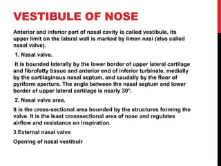 Anatomy of Nose.pptx anatomy and ophthalmology | PPTX