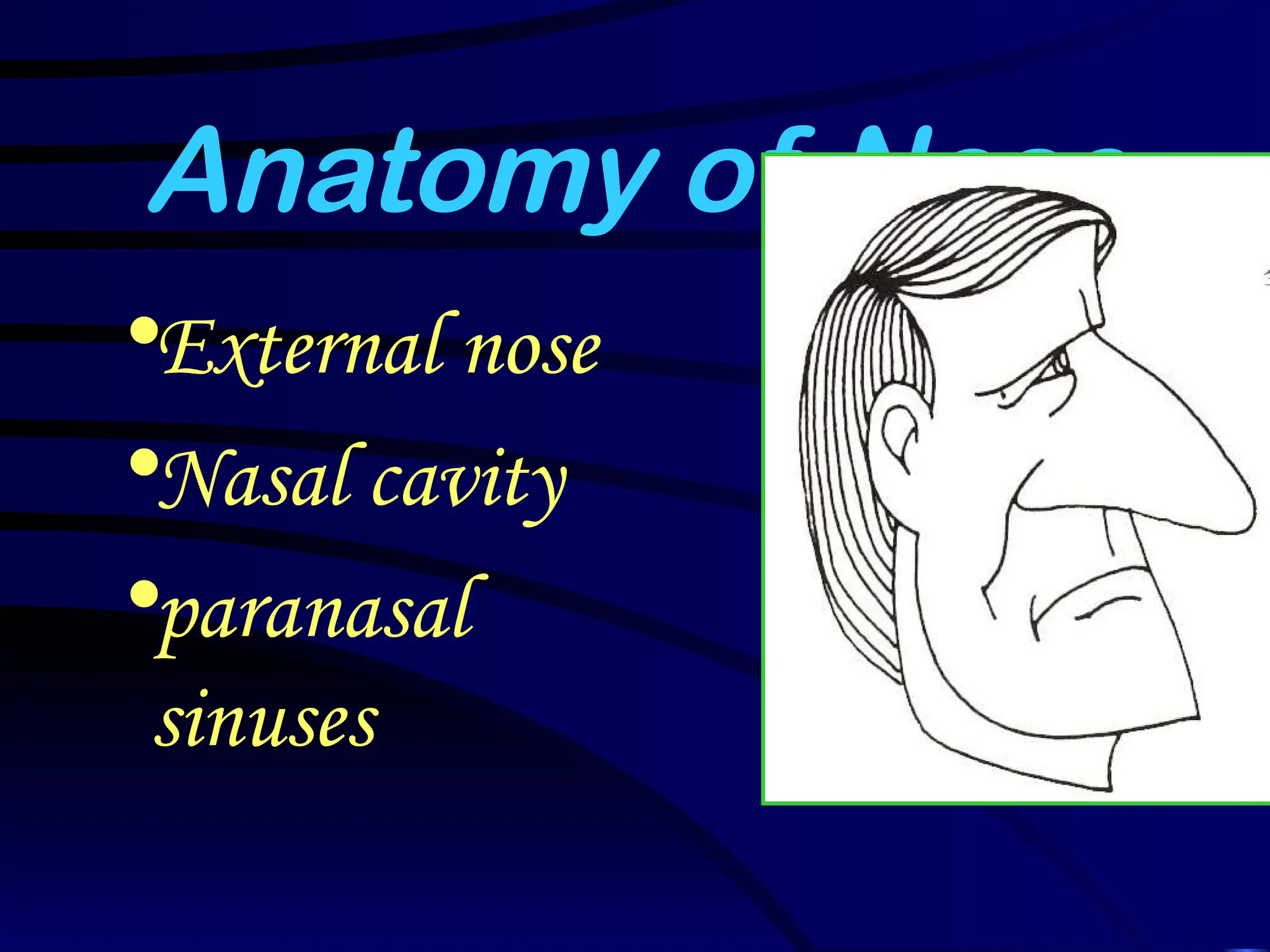 Anatomy of Nose by internal n external anatomy.pptx