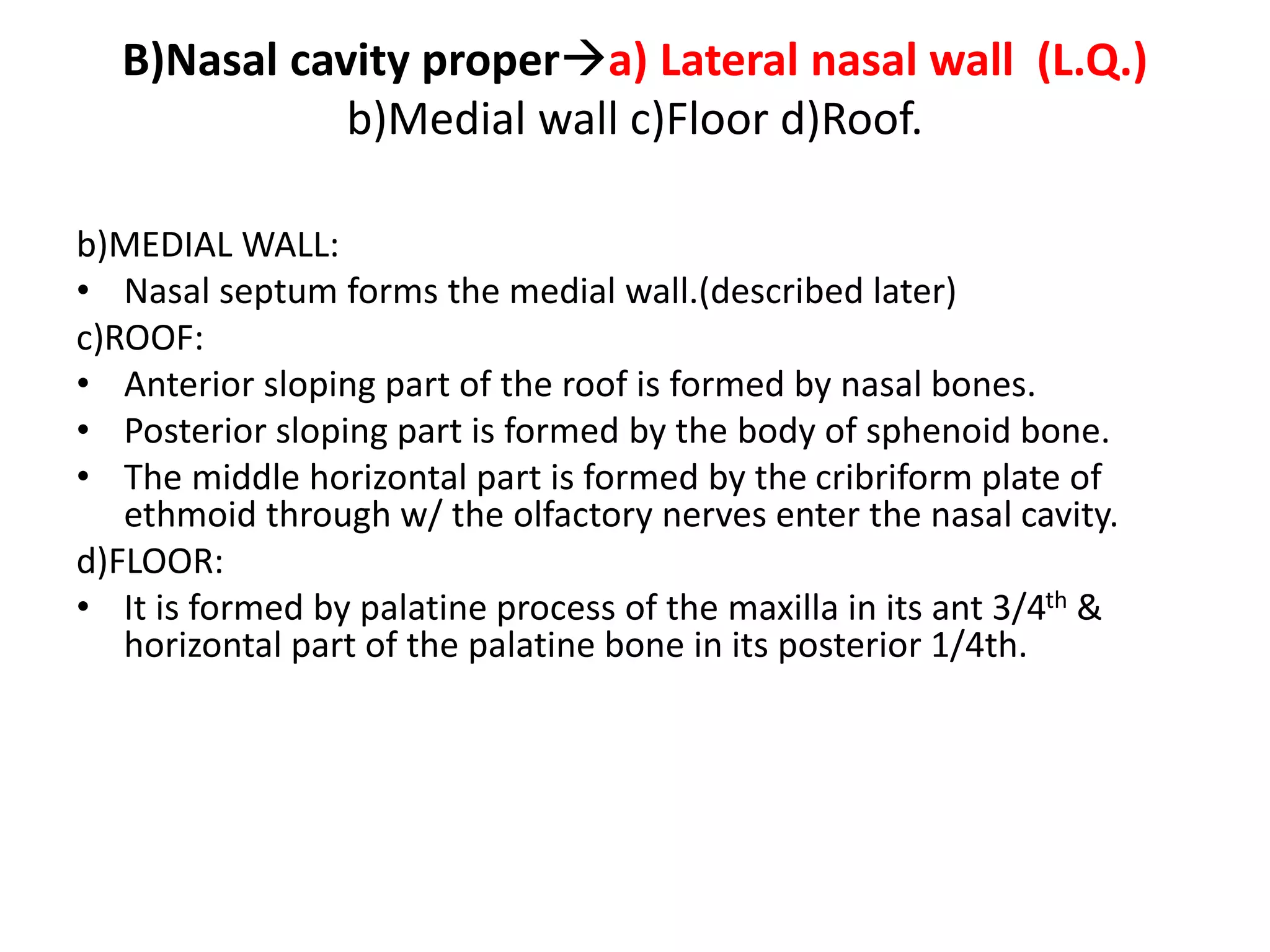Anatomy of Nose - Copy.pptx