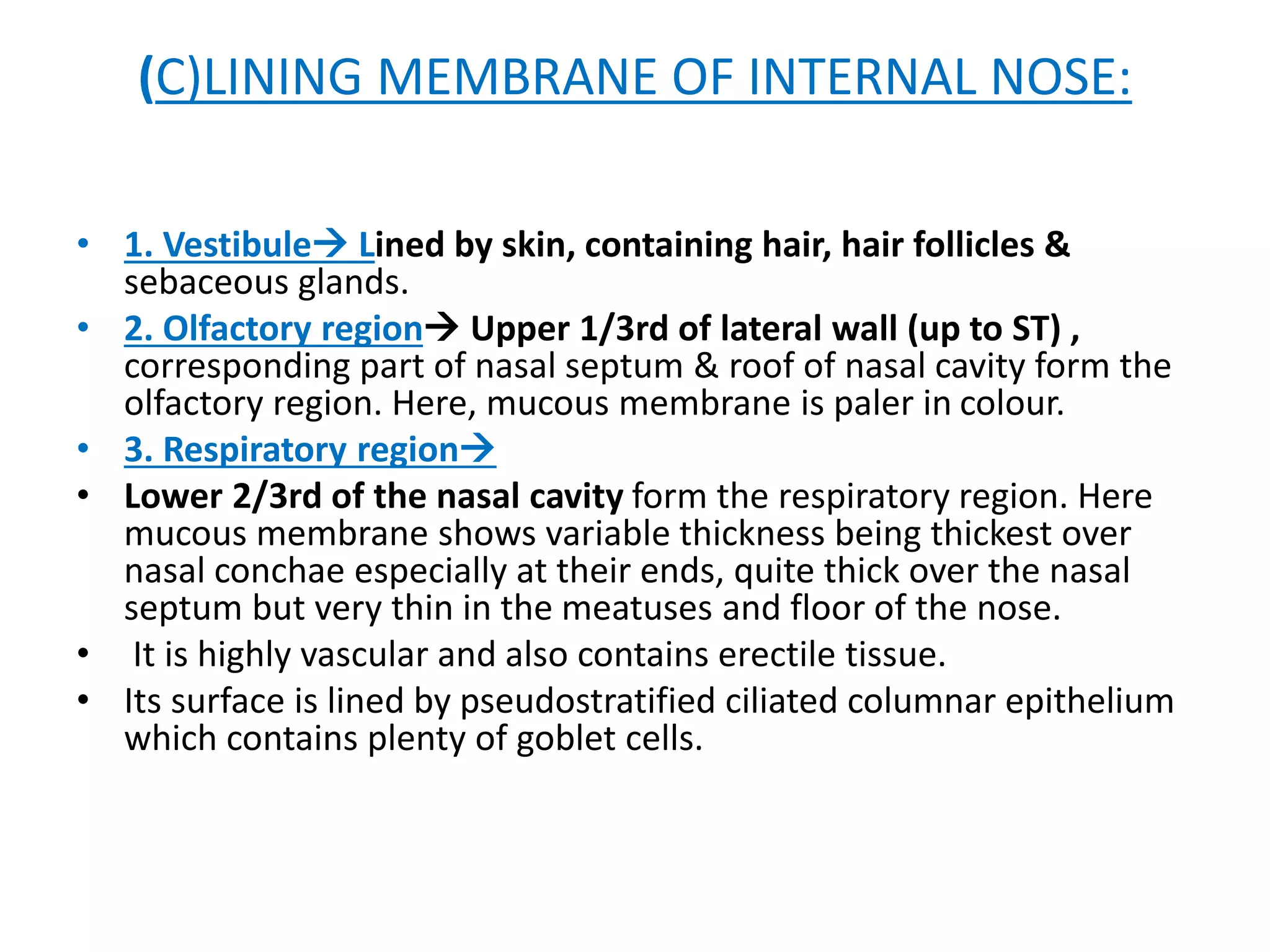 Anatomy of Nose - Copy.pptx