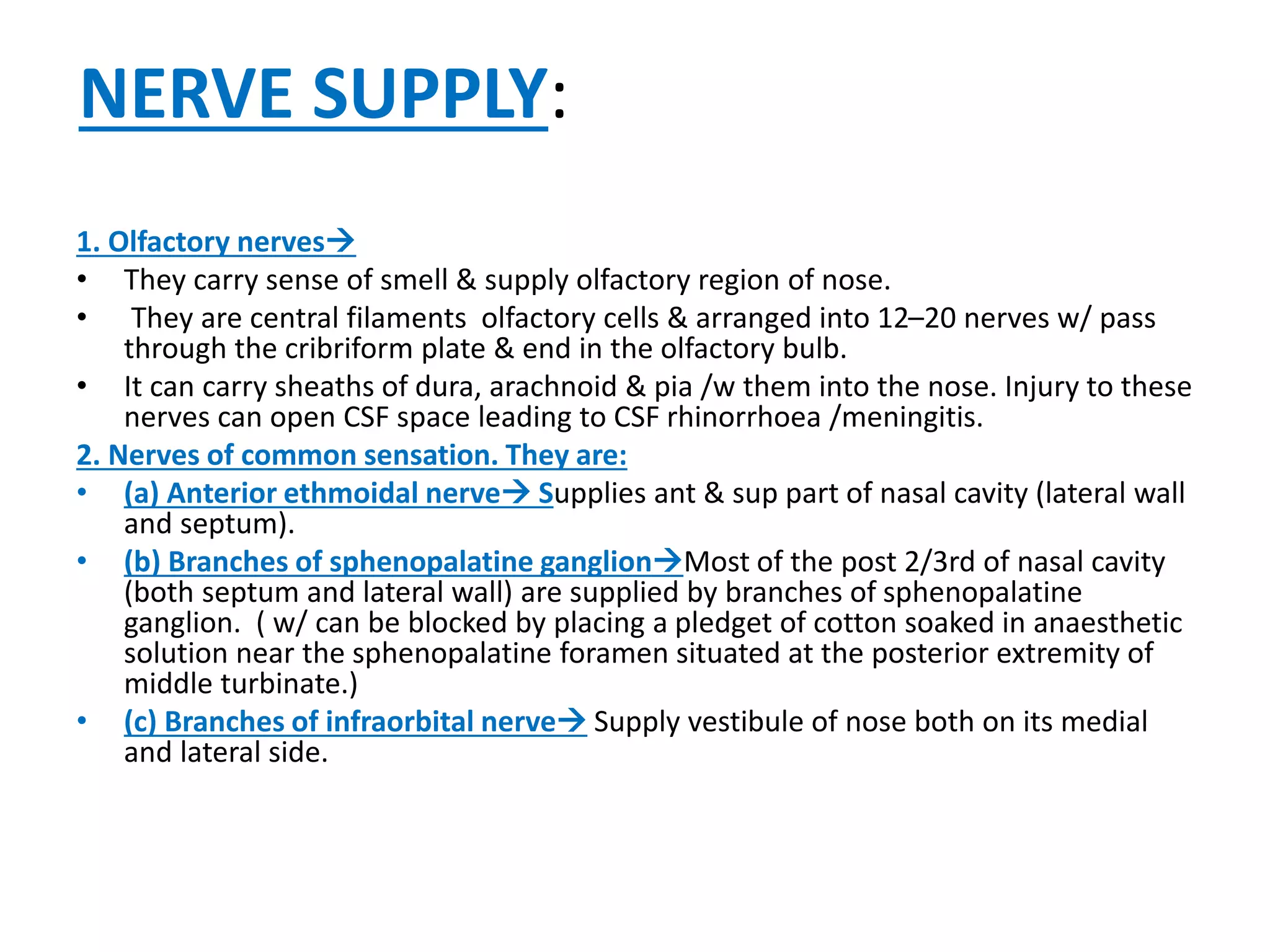 Anatomy of Nose - Copy.pptx