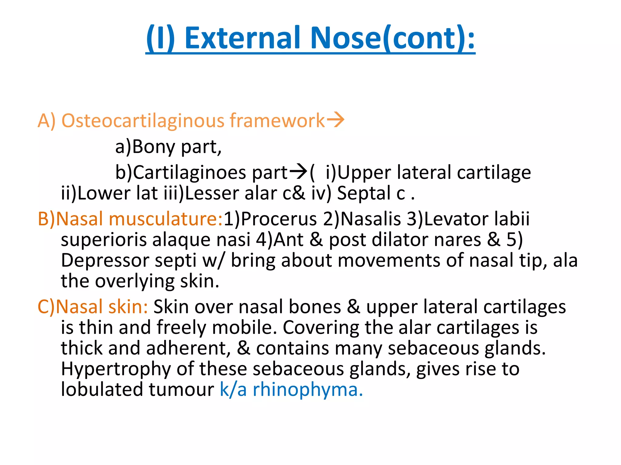 Anatomy of Nose - Copy.pptx