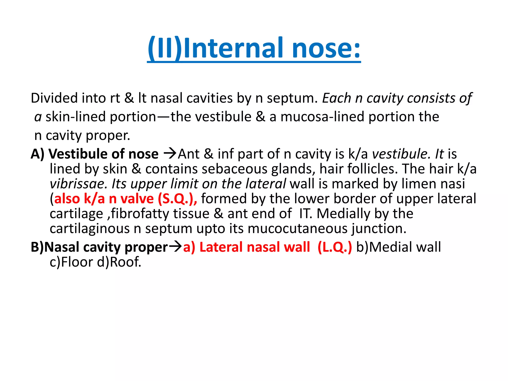 Anatomy of Nose - Copy.pptx