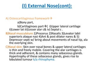 Anatomy of Nose - Copy.pptx