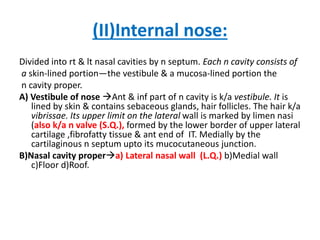 Anatomy of Nose - Copy.pptx