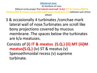 Anatomy of Nose - Copy.pptx