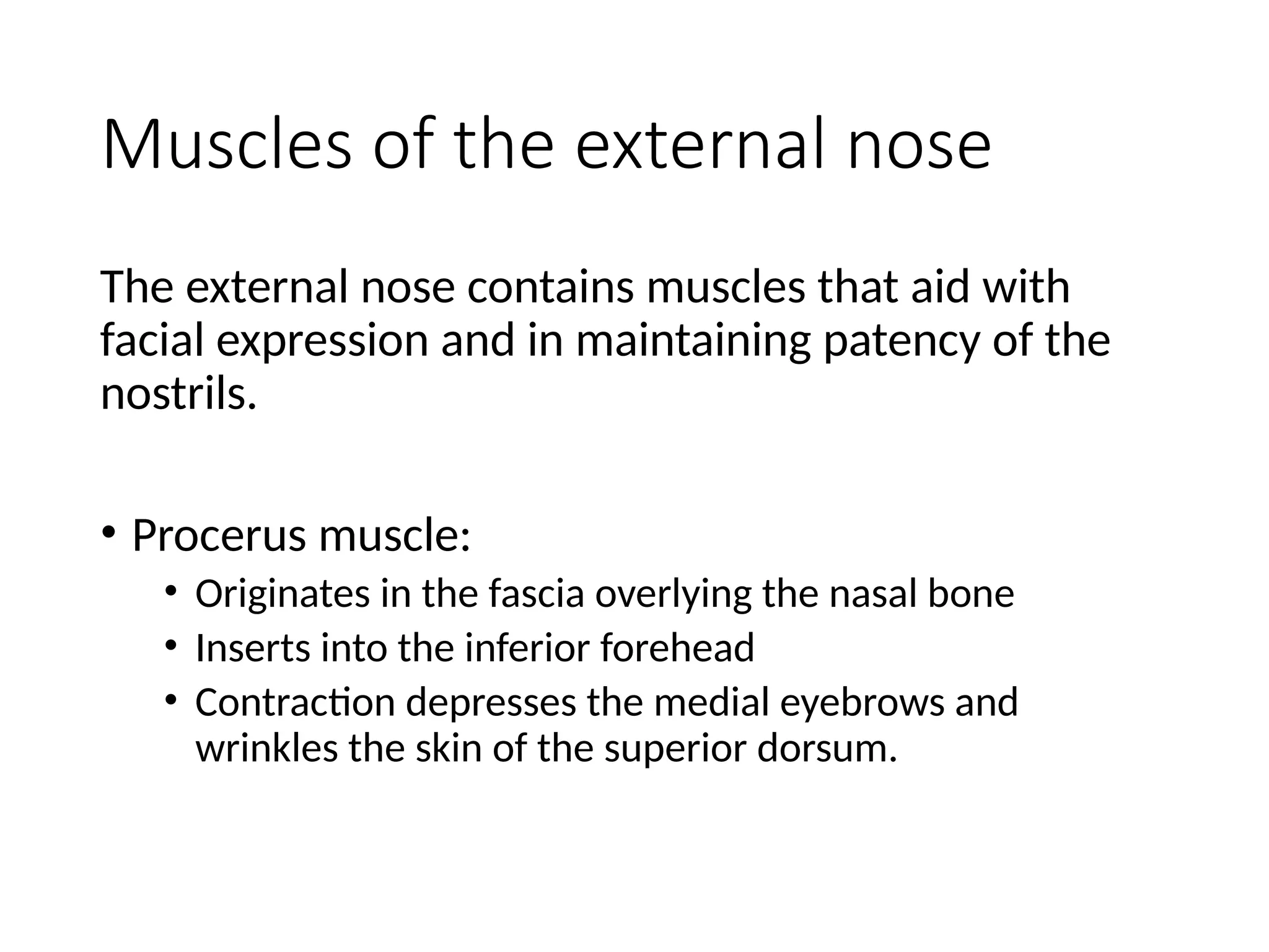 ANATOMY OF NOSE AND PARANASAL-WPS Office.pptx