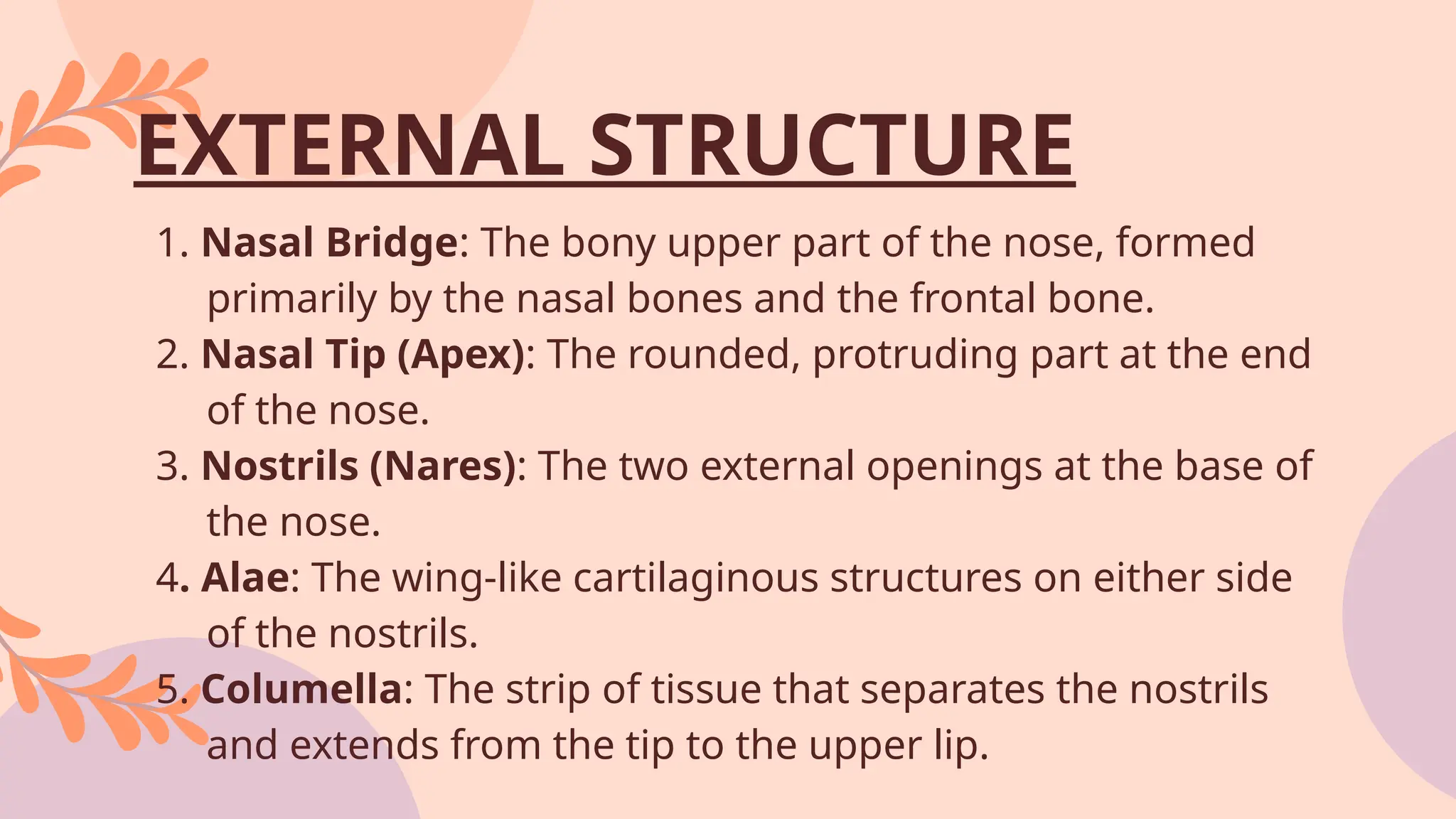 Anatomy of nose and ear in details for nursing students | PPTX