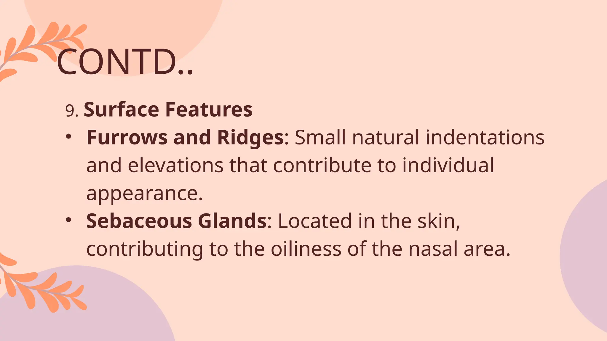 Anatomy of nose and ear in details for nursing students | PPTX