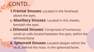 Anatomy of nose and ear in details for nursing students | PPTX
