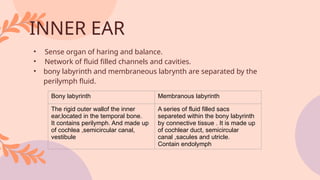 Anatomy of nose and ear in details for nursing students | PPTX