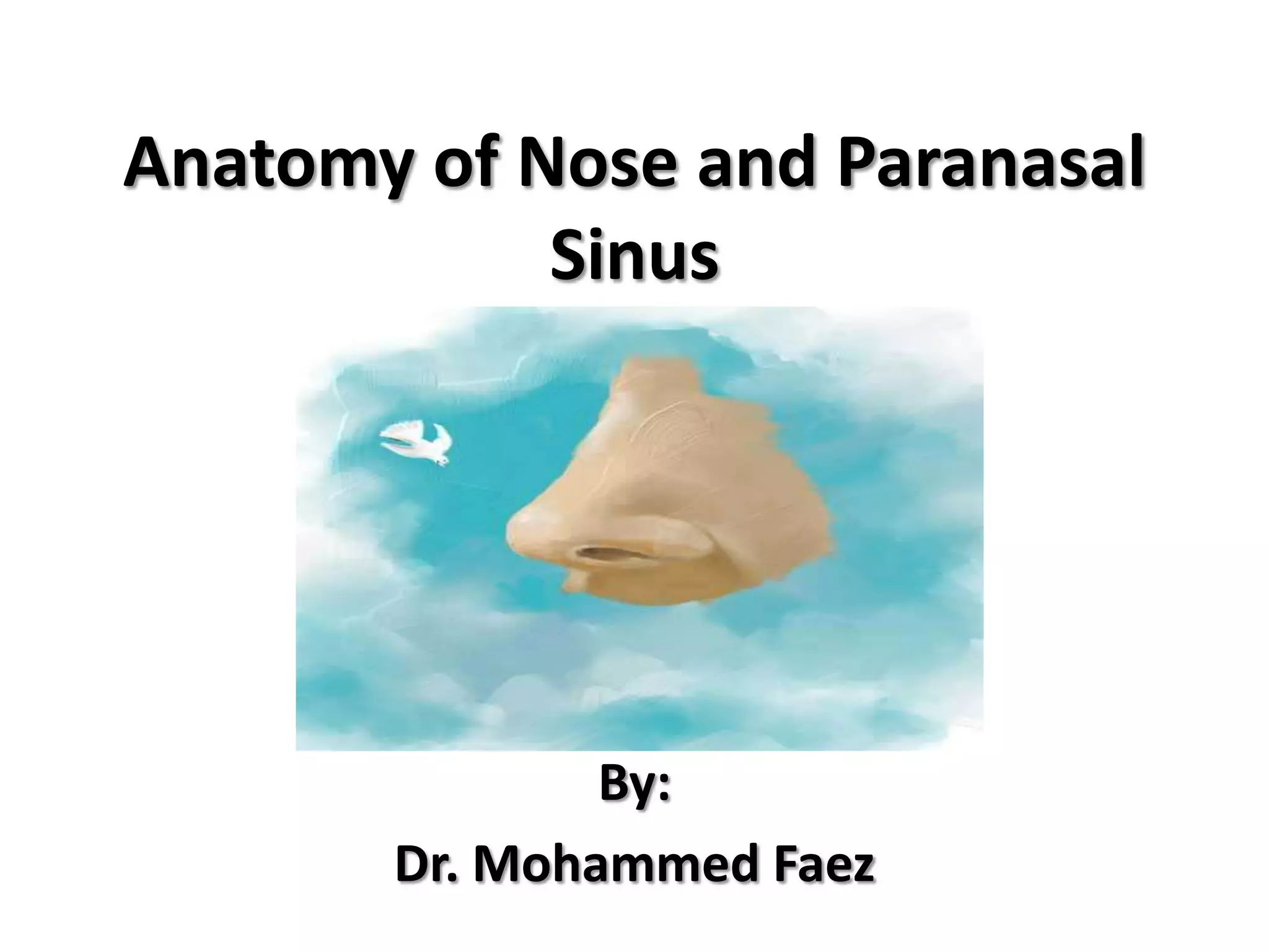 Anatomy of nose and paranasal sinus | PDF